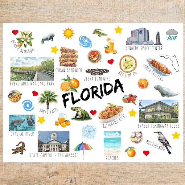 Florida Postcard - Etsy