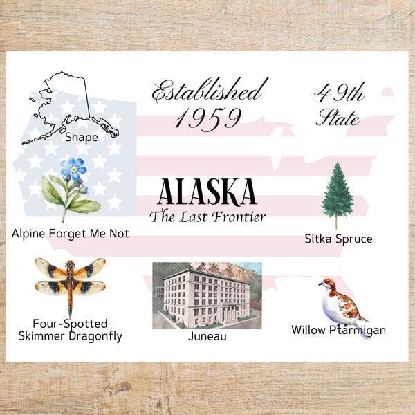 Alaska Theme Party - Etsy