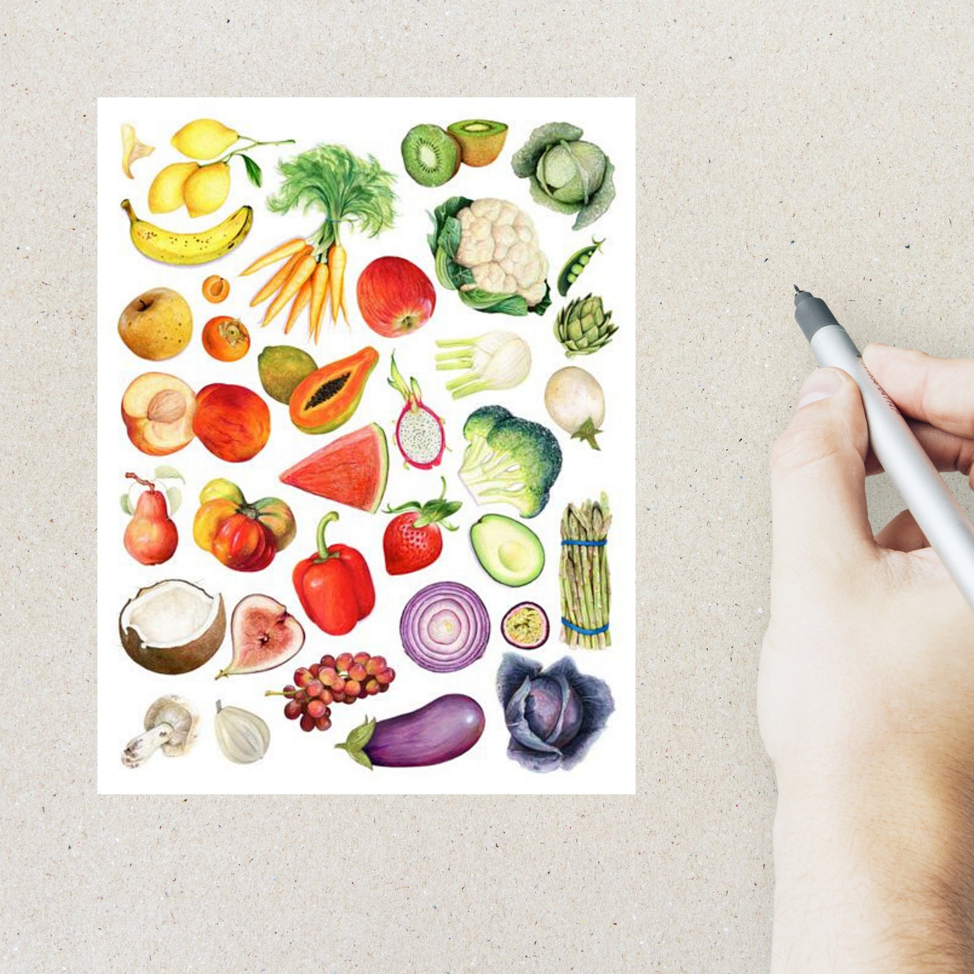 Fruits and Vegetable Postcard Set 4 Postcards 130 Thick - Etsy