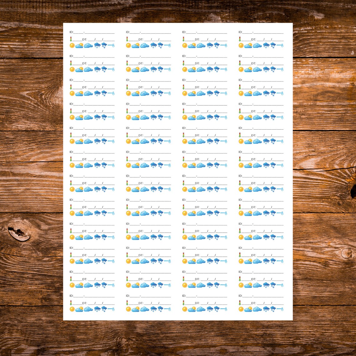 Medium Postcard Stickers 48 Stickers per Sheet Small to | Etsy