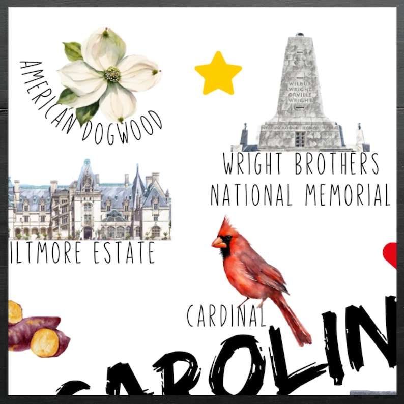 North Carolina Themes and Landmarks Postcard | 1 Postcard or Notecard ...