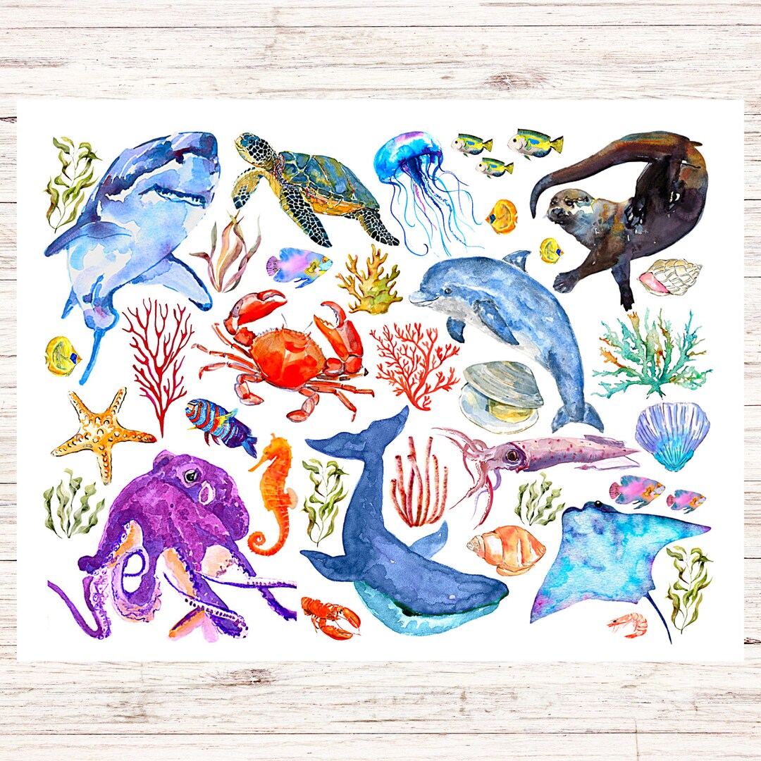 Sea Creatures Postcard | 1 Postcard | Thick Cardstock | for Sending a ...