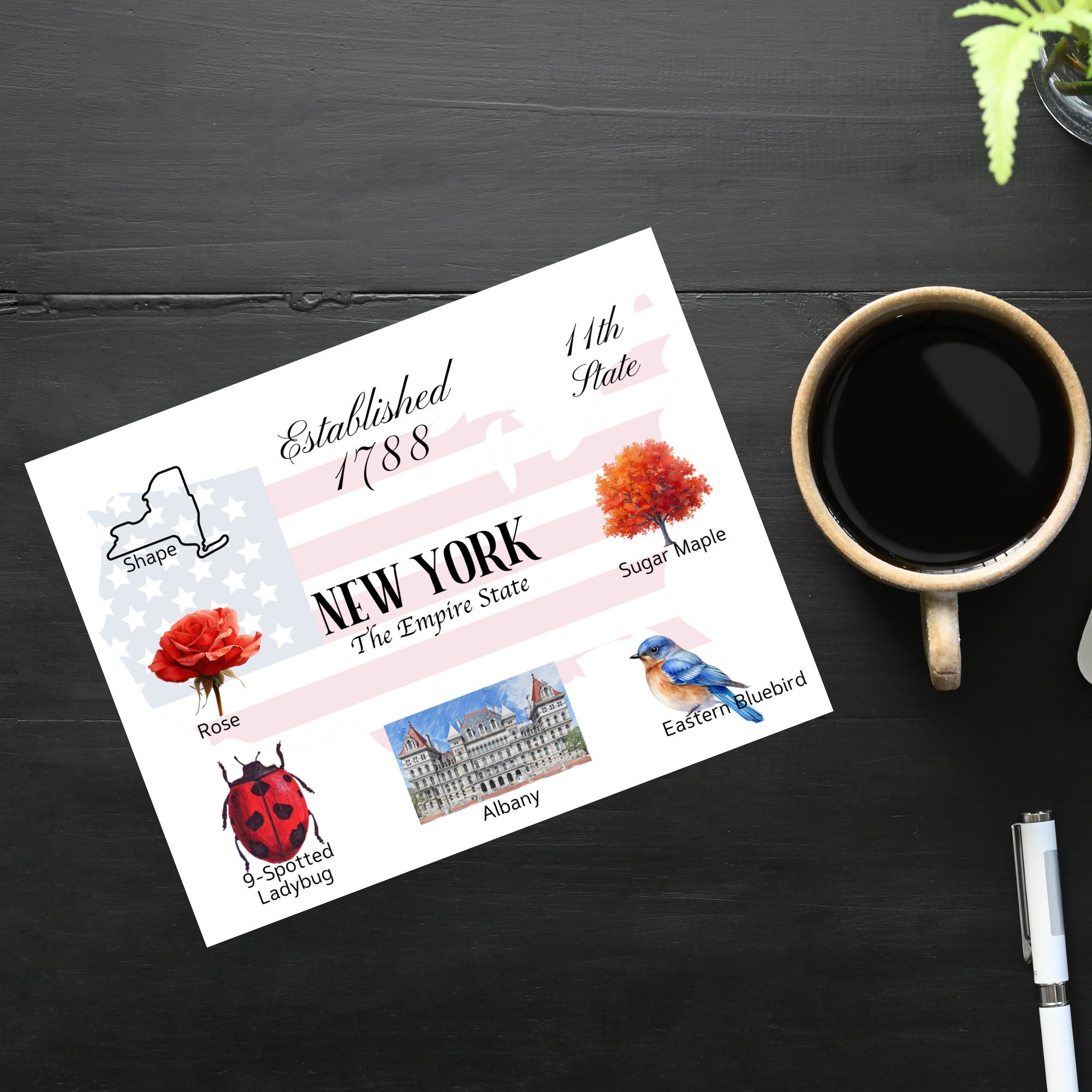 New York Postcard | 1 Postcard | Thick Cardstock | for Sending a ...