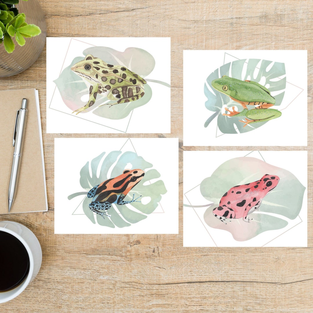 Tropical Frogs Postcard Set | 4 Postcards | 130 Thick Cardstock | for ...