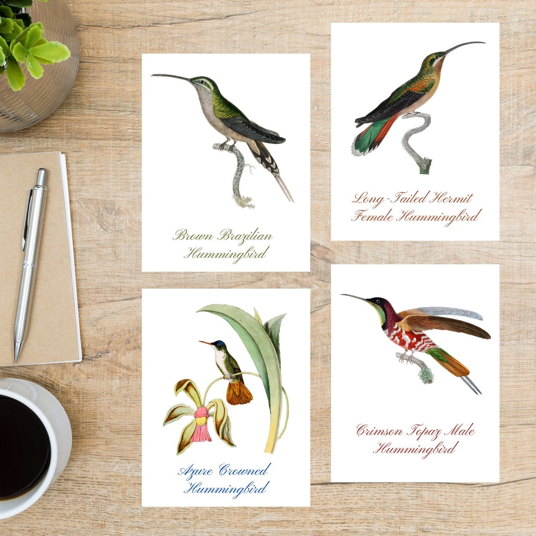 Hummingbirds Postcard Set | 4 Postcards | 130 Thick Cardstock | for ...
