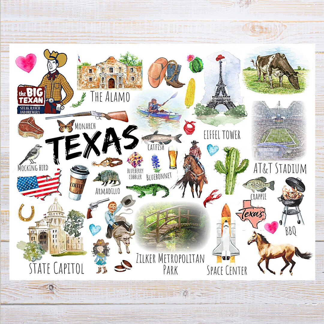 Texas Themes and Landmarks Postcard 1 Postcard Thick Cardstock for ...