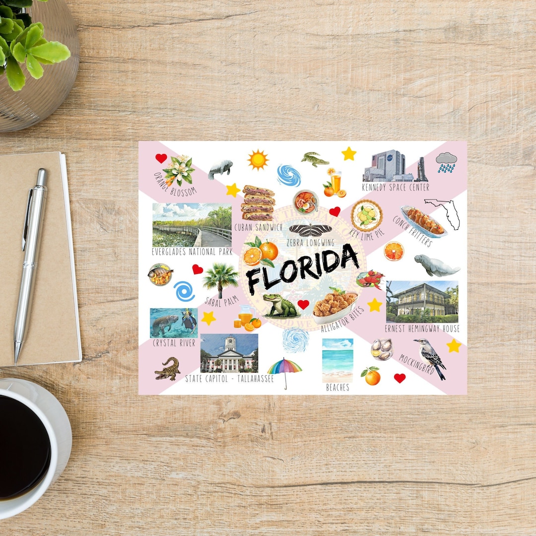 Florida Themes and Landmarks Postcard | 1 Postcard or Notecard | Thick ...
