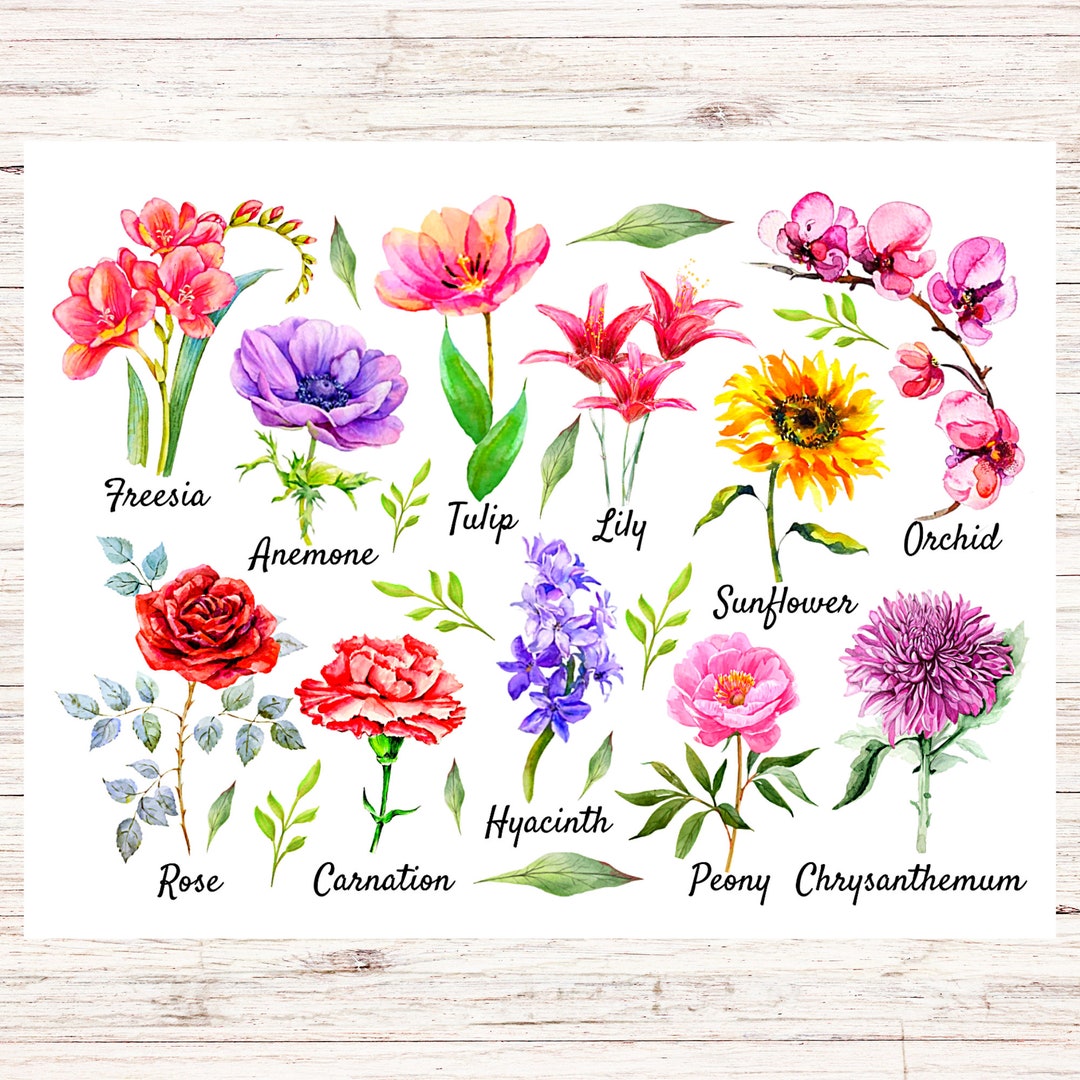 Flower Collage Postcard | 1 Postcard | Thick Cardstock | for Sending a ...