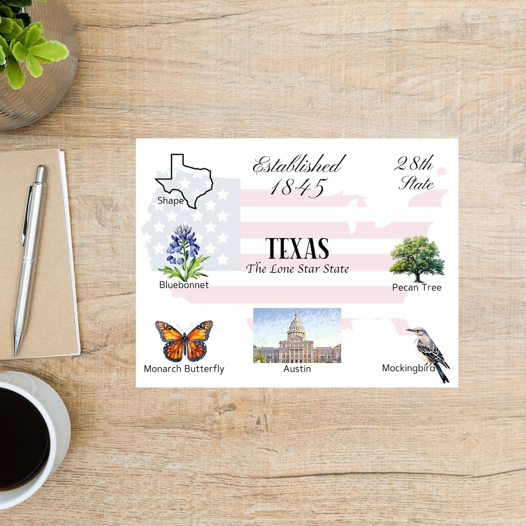 Texas Themes and Landmarks Postcard | 1 Postcard | Thick Cardstock ...