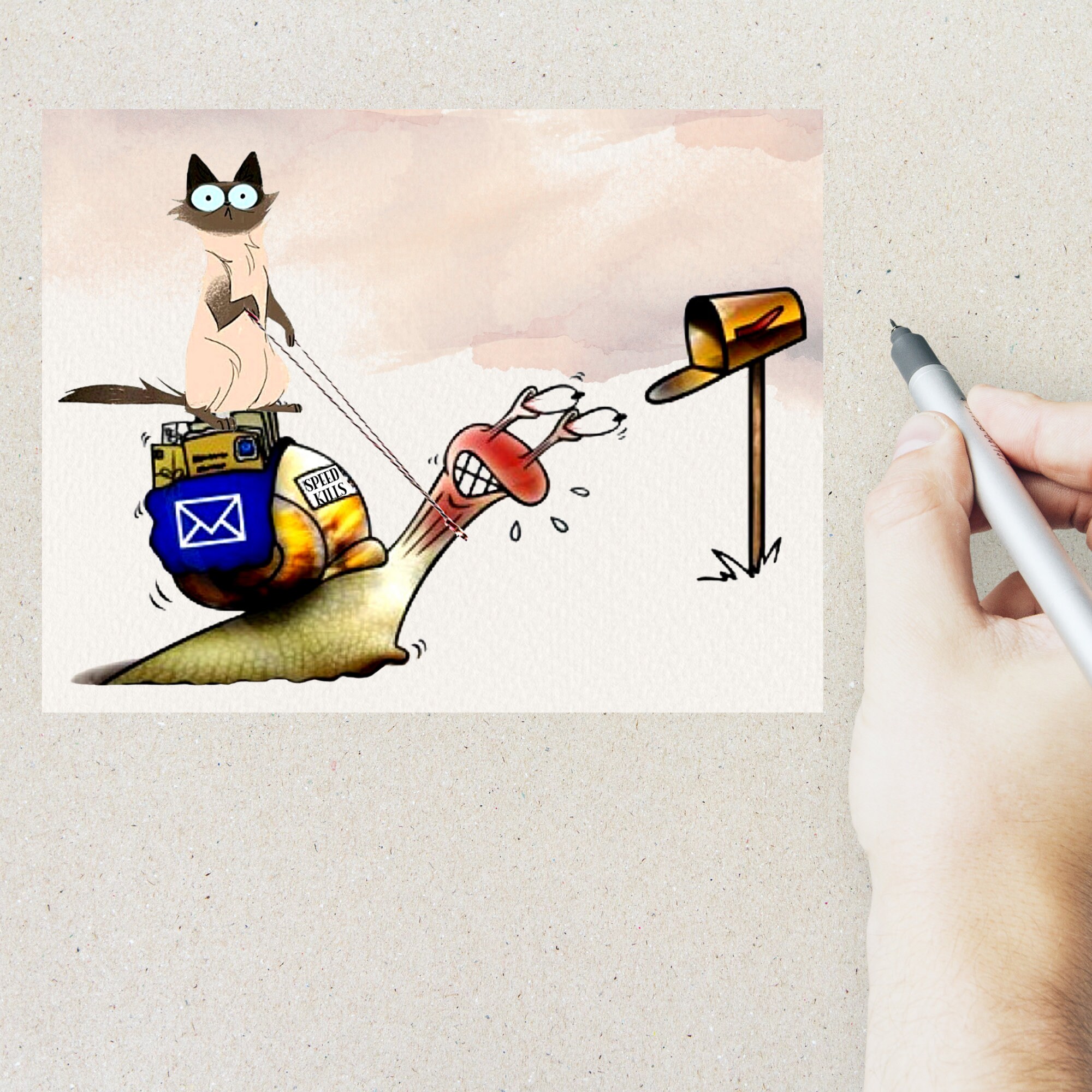 Snail Mail Postcard Set 4 Postcards 130 Thick Cardstock | Etsy