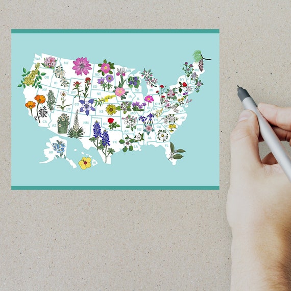 United States of America State Flowers Design Postcard Set 4 | Etsy