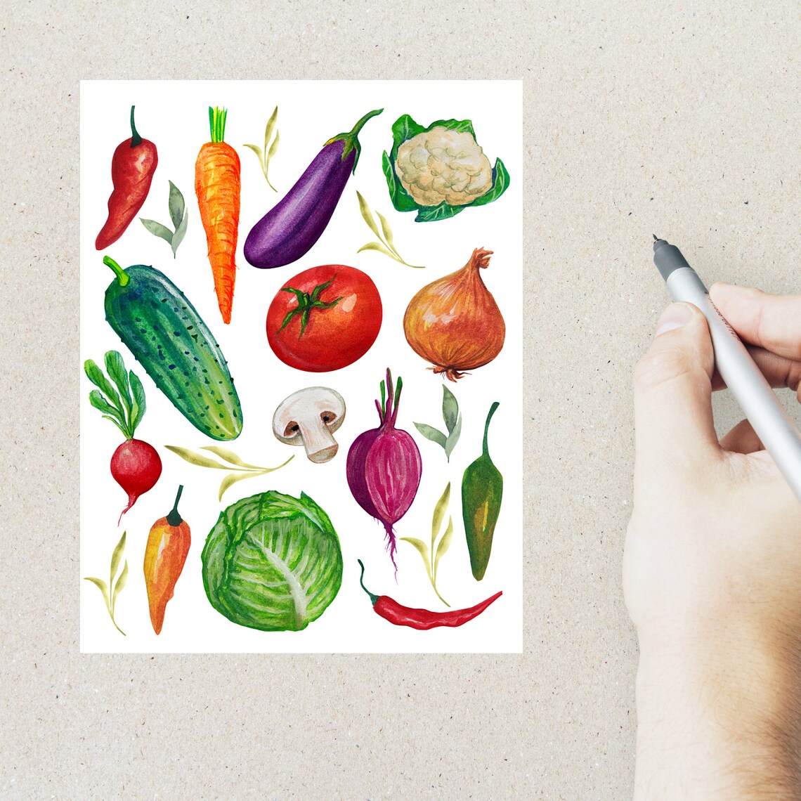 Fruits and Vegetable Postcard Set 4 Postcards 130 Thick - Etsy