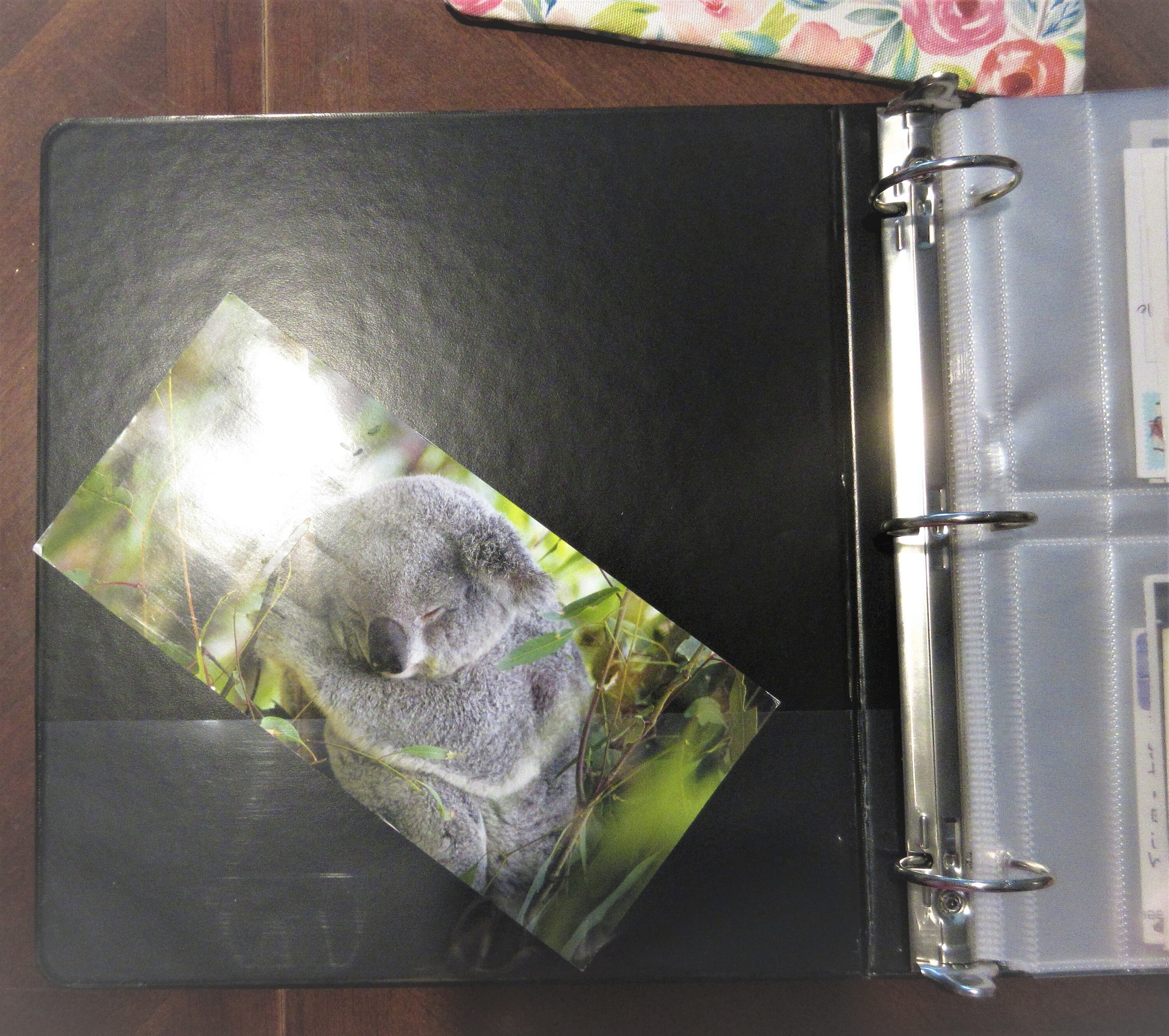 3 Ring Postcard Organizer/binder Black 20 Pages 2-4 - Etsy