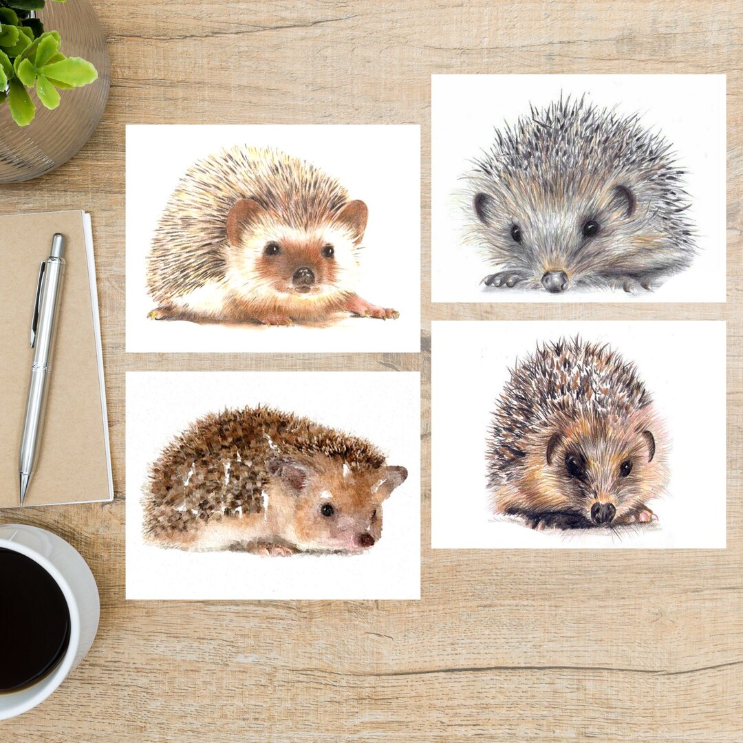 Watercolor Hedgehogs Postcard Set | 4 Postcards | 130 Thick Cardstock ...