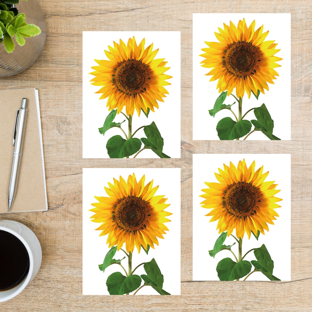 Sunflower Postcard Set | 4 Postcards | 130 Thick Cardstock | Lovely ...