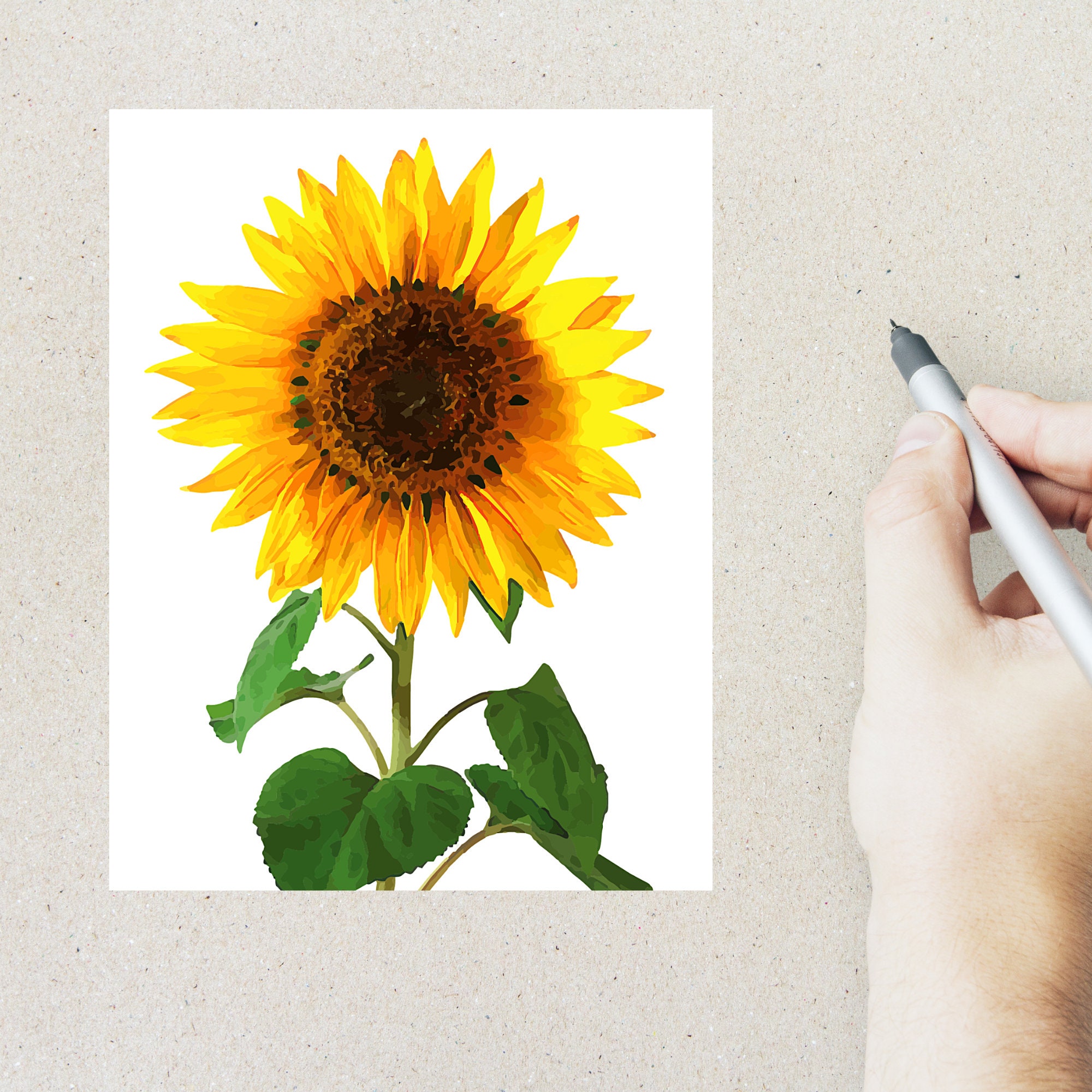 Sunflower Postcard Set 4 Postcards 130 Thick Cardstock | Etsy