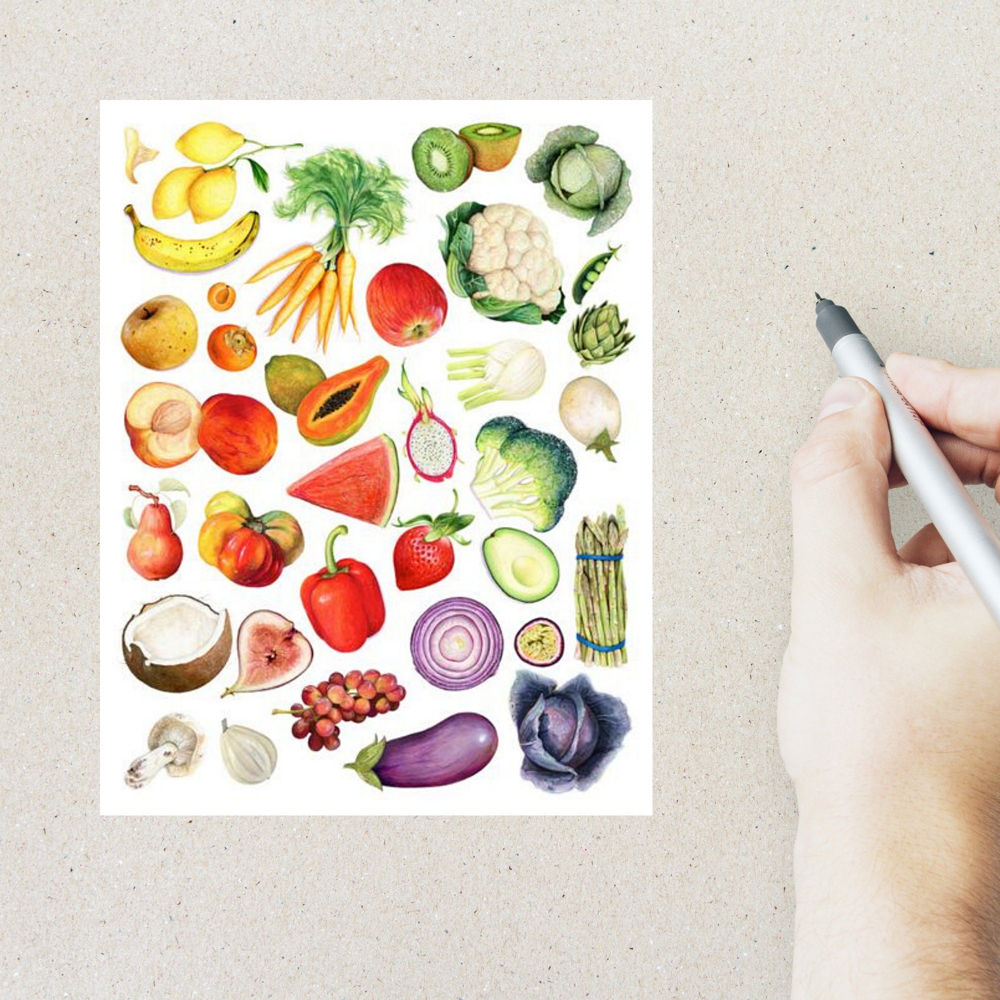 Fruits and Vegetable Postcard Set 4 Postcards 130 Thick | Etsy