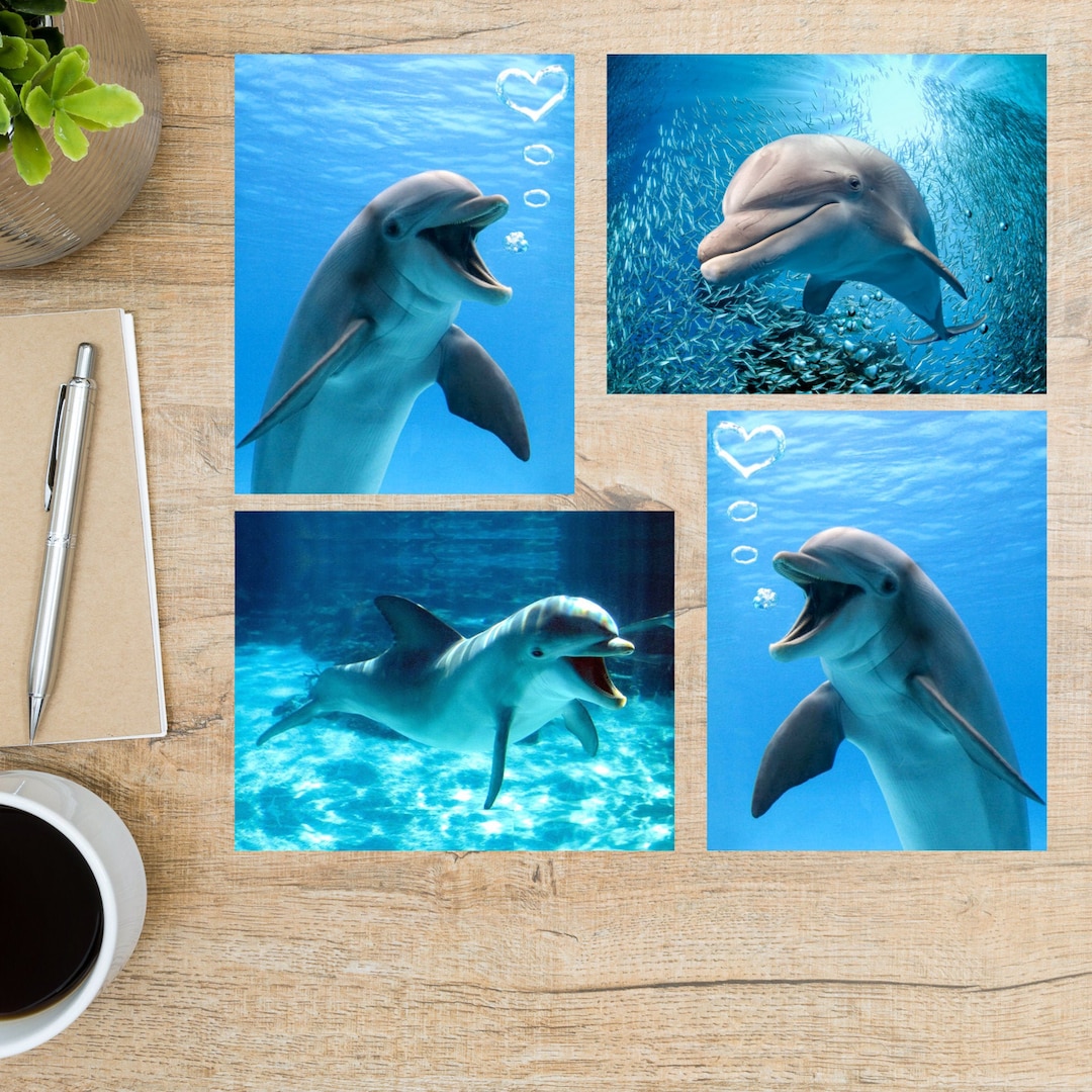 Dolphins Postcard Set | 4 Postcards | 130 Thick Cardstock | for Sending a Postcard to a Friend ...