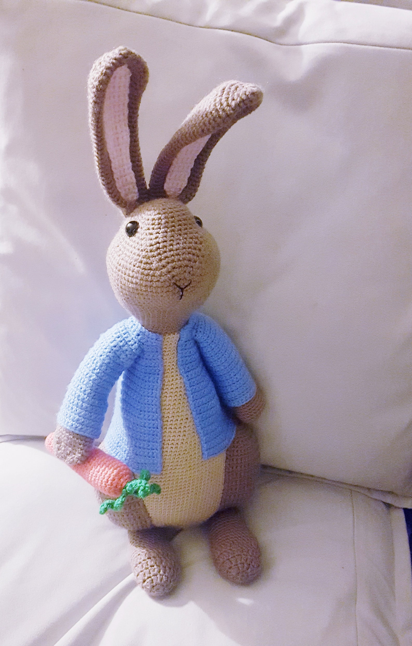 Peter Rabbit Crochet Pattern - Etsy