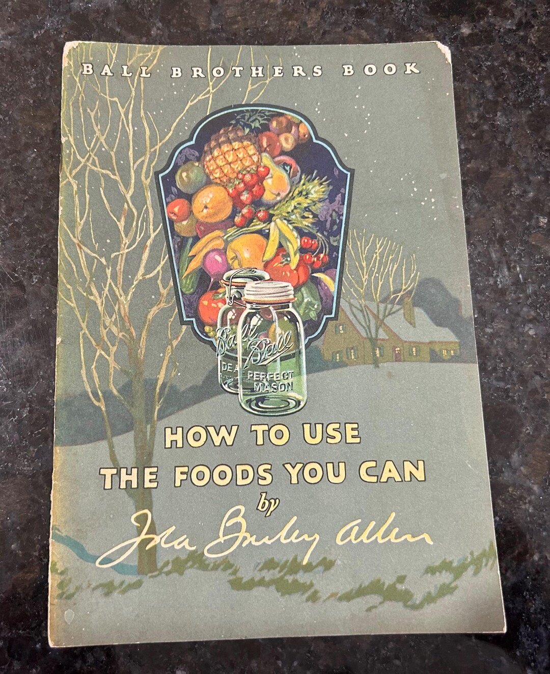 Vintage 1924 Ida Bailey Allen How to Use the Foods You Can Ball ...