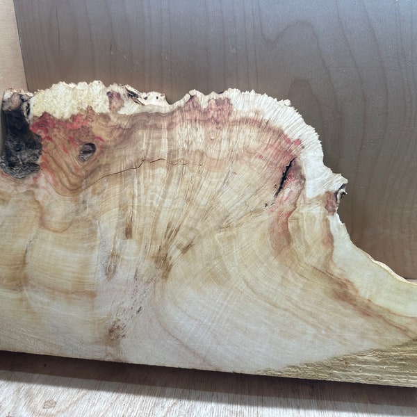 Box Elder Burl - Etsy