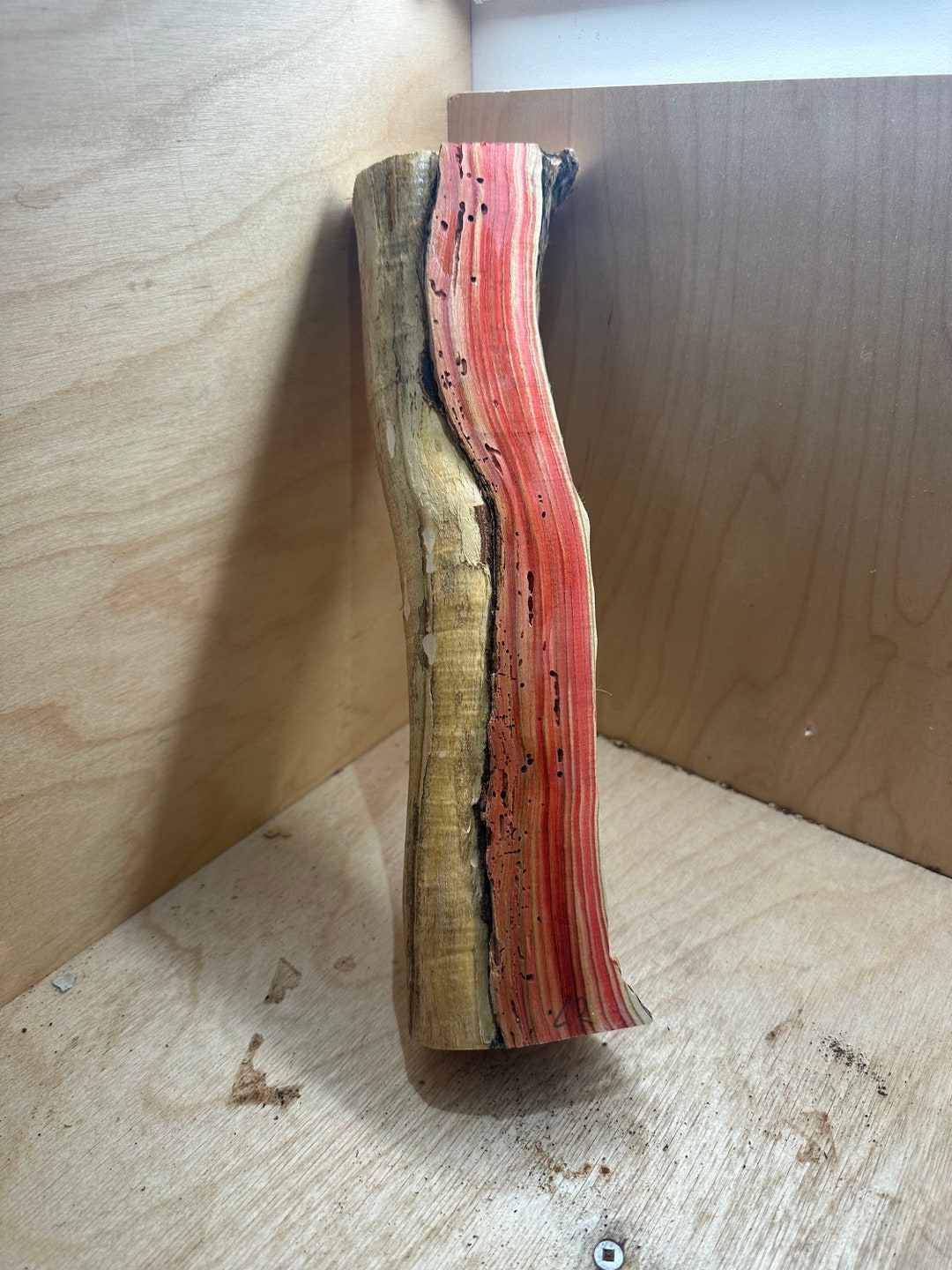 Box Elder Red Log - Etsy
