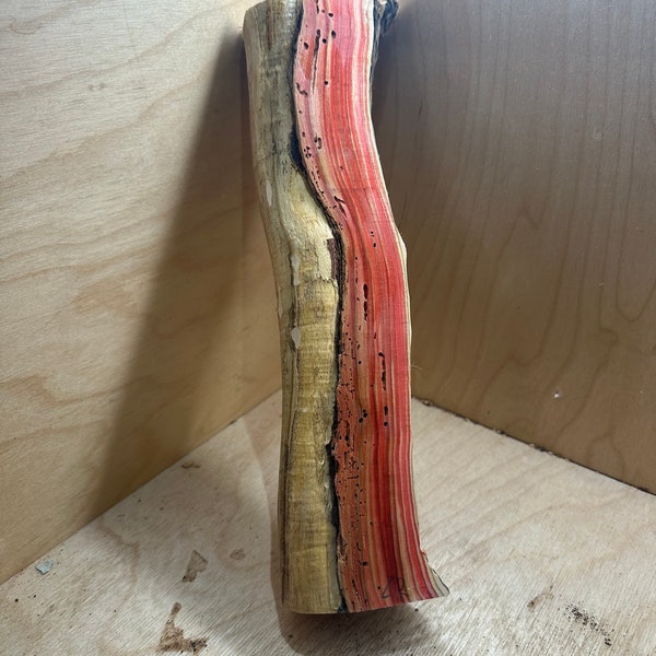 Box Elder - Etsy