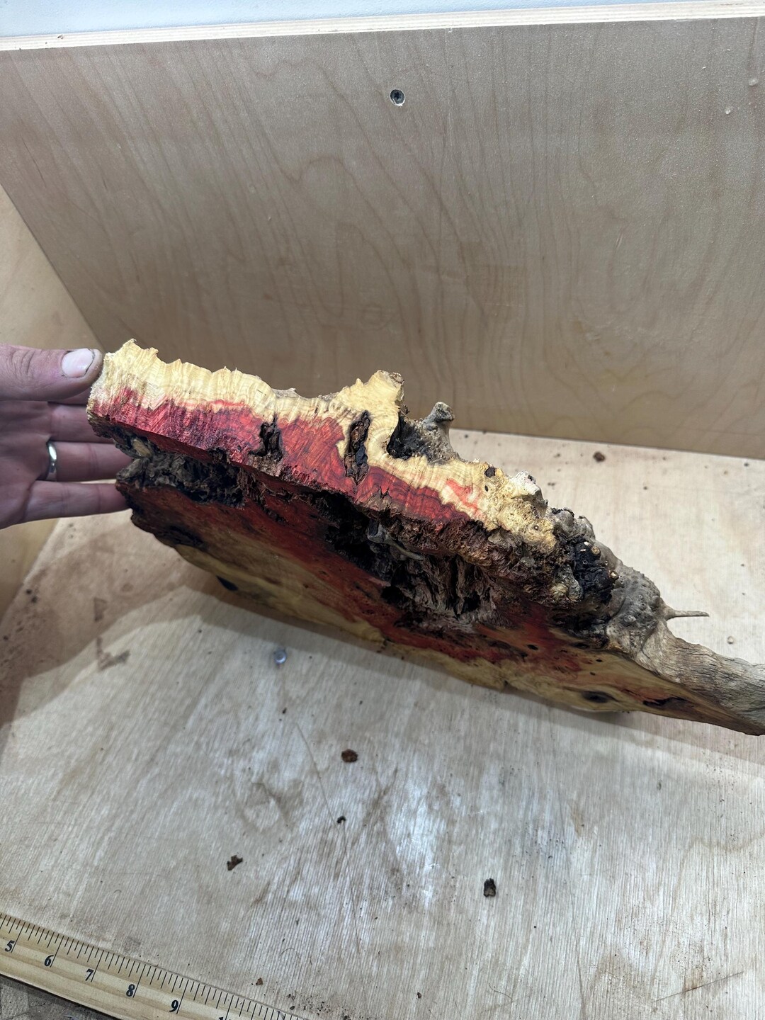 Flame Red Box Elder Burl - Etsy