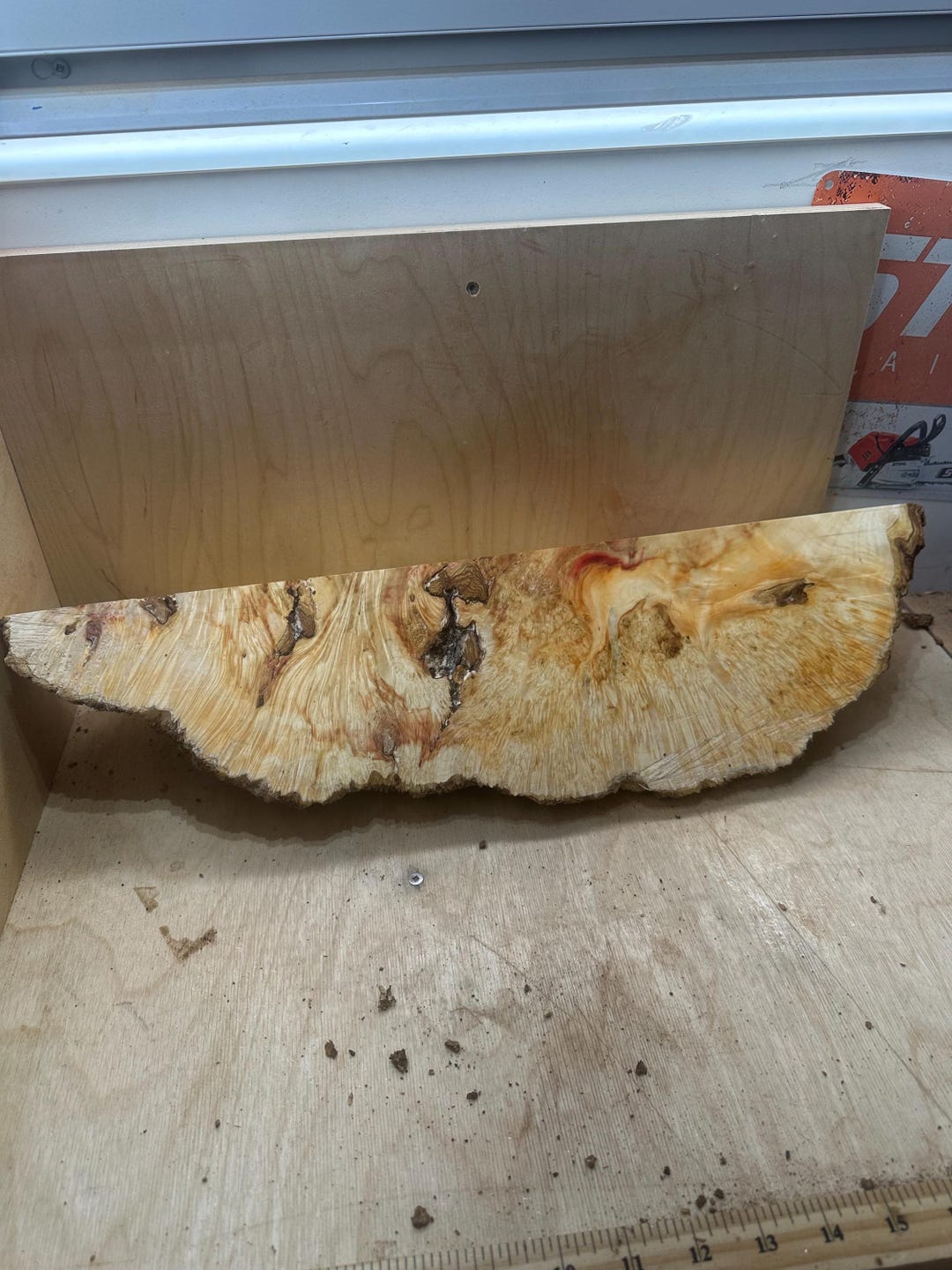 Tight Grain Box Elder Burl - Etsy