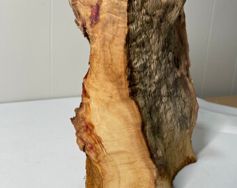 Box Elder Burl | Etsy