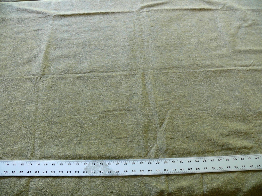 Coraggio Textile Fabric 3yard From Italy Thick Chenille Green MSRP USD ...