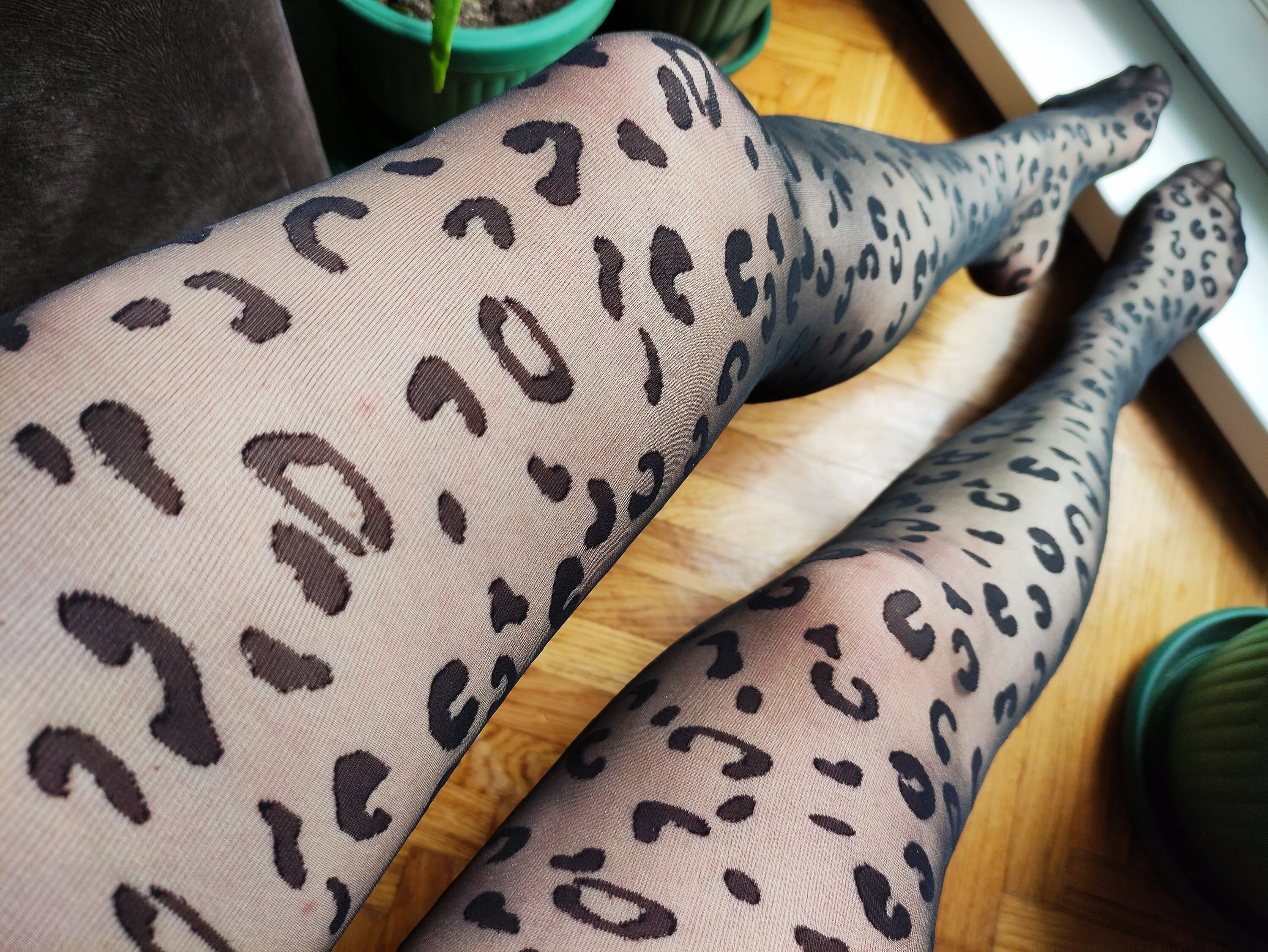 Leopard Printed Tights for Women. Black Sexy Sheer Lolita - Etsy