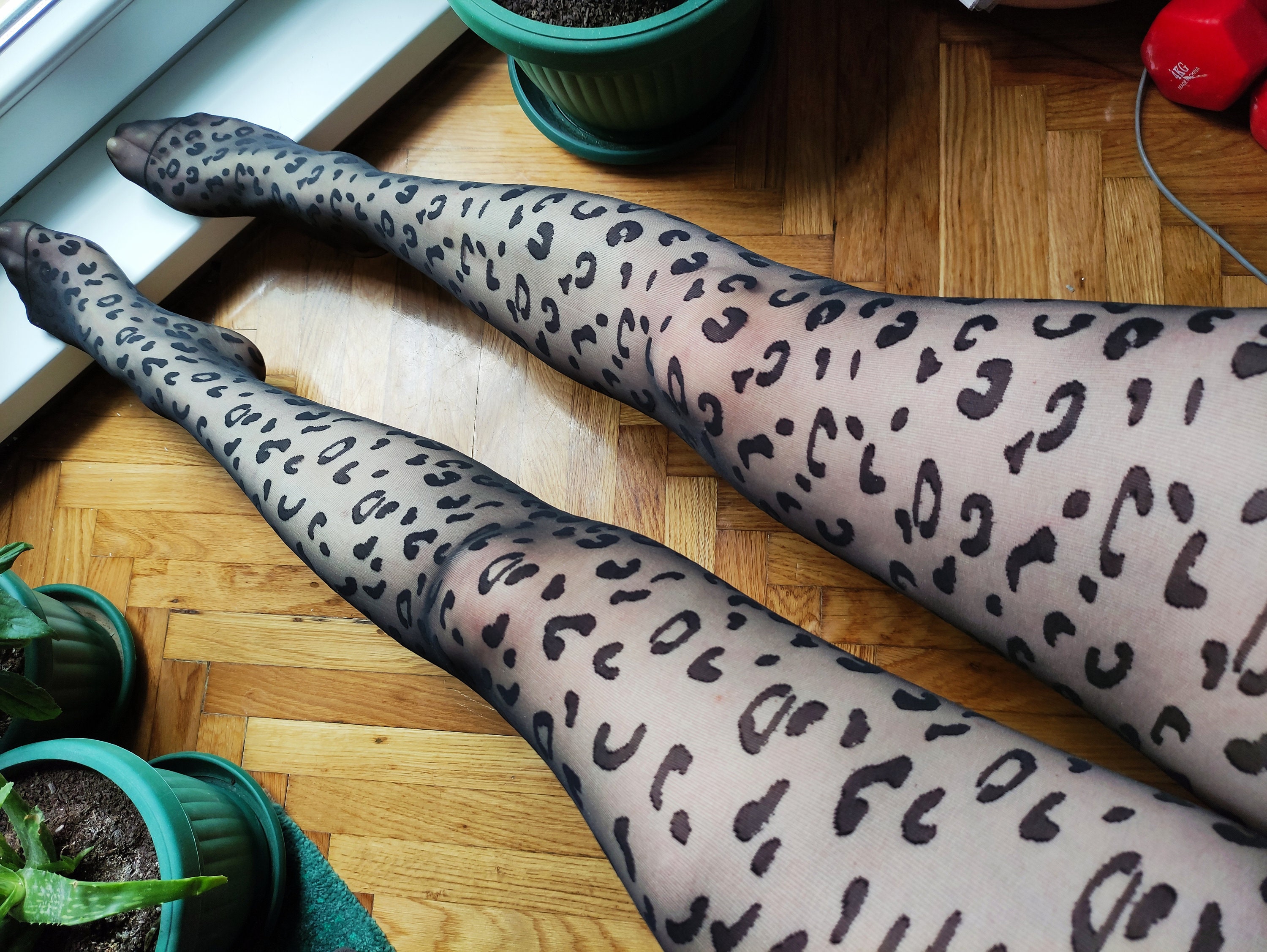 Leopard Printed Tights for Women. Black Sexy Sheer Lolita - Etsy