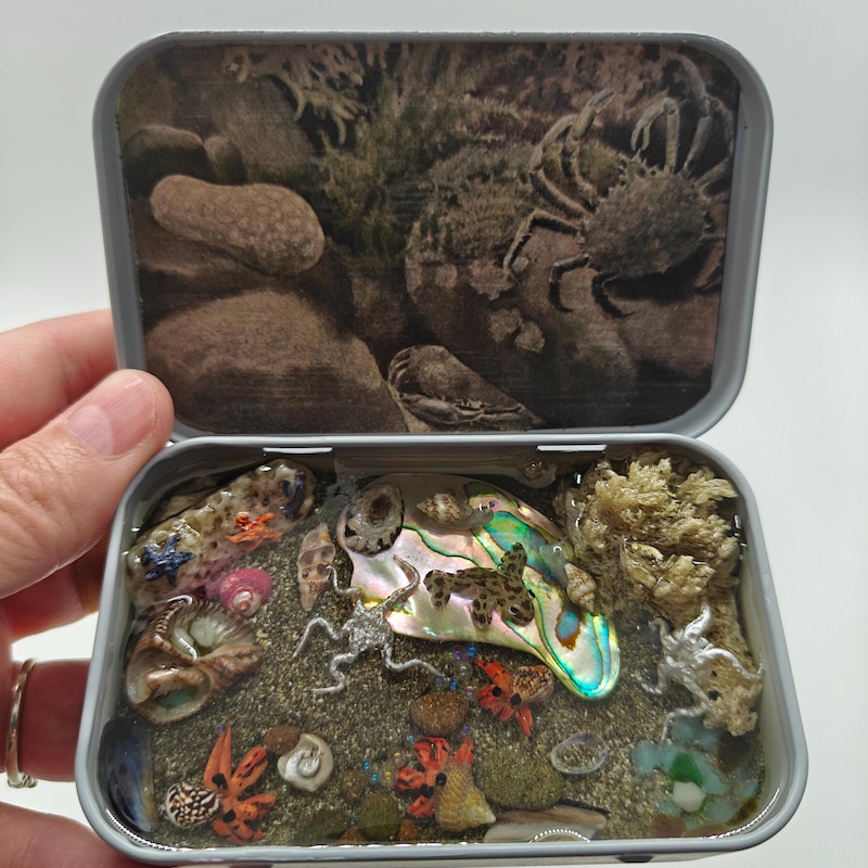 Altoid Tin Diorama - Etsy