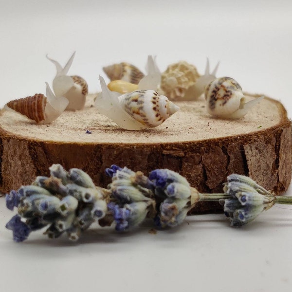 Fairy Garden Snails - Etsy