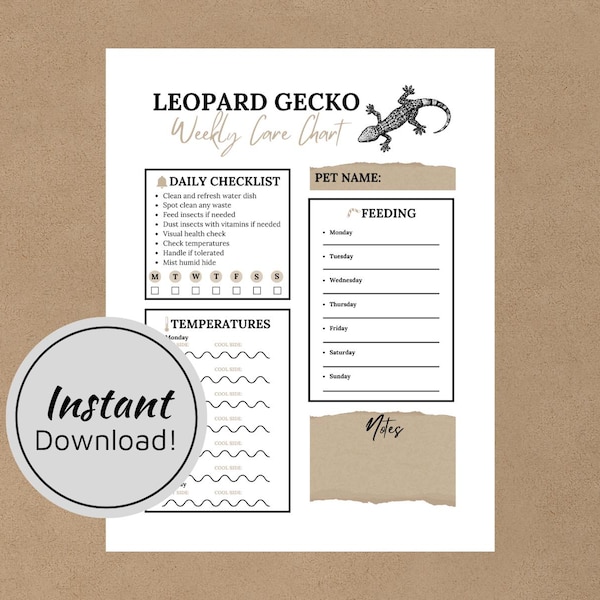 Leopard Gecko - Etsy