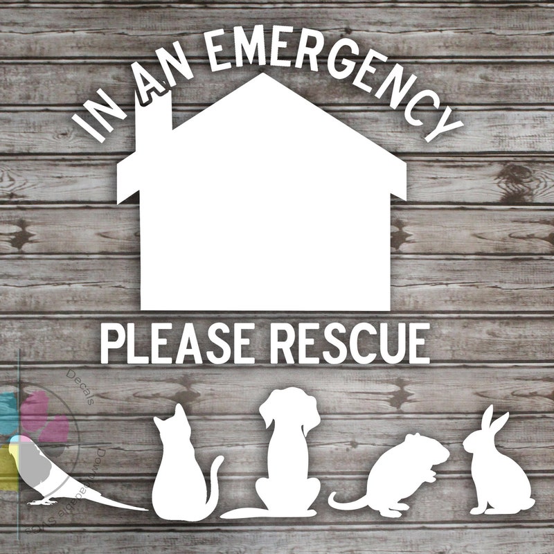 Rescue Dog Sign - Etsy