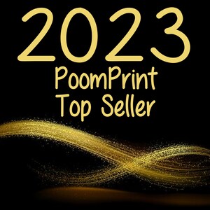 Area Code 505 Decal Zia Decal New Mexico Sticker 505 Bumper Sticker ...