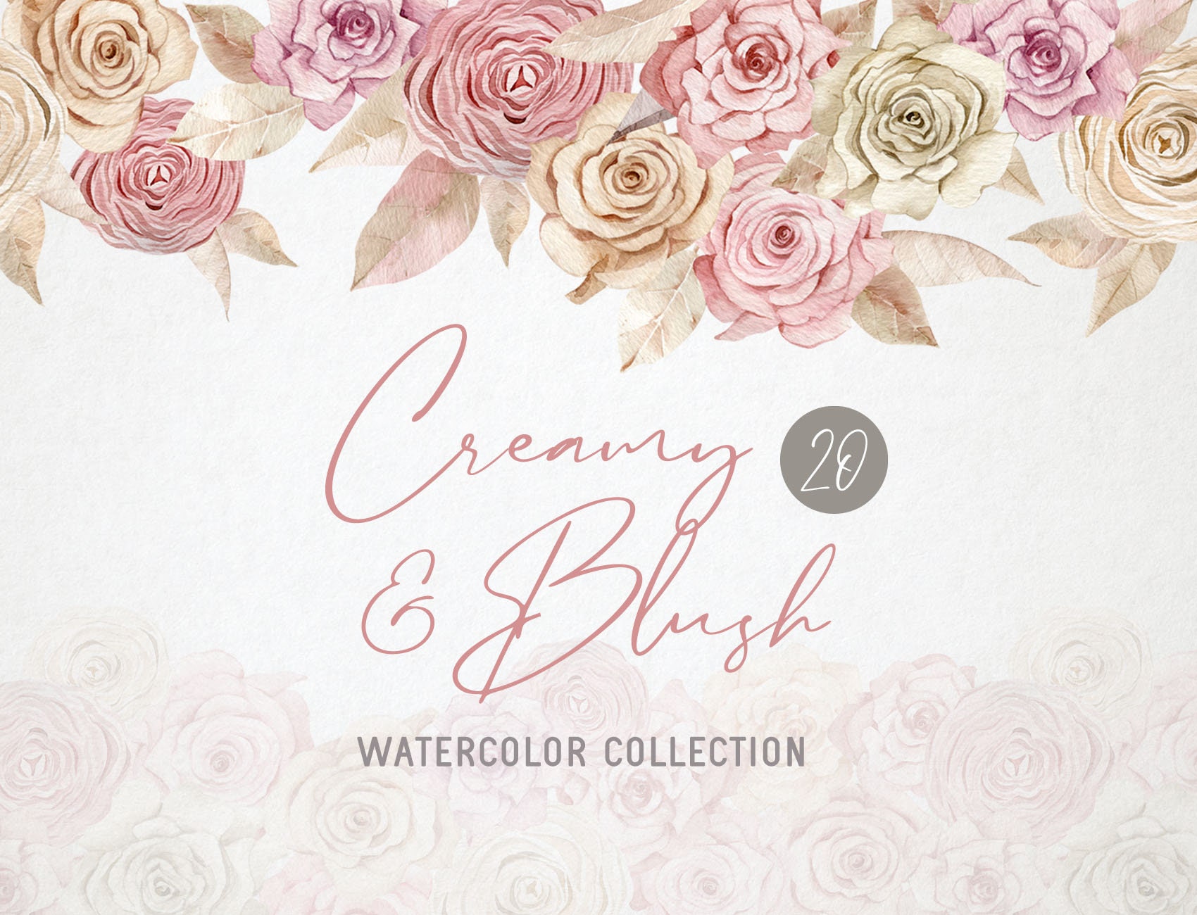 Creamy and Blush Watercolor Roses. Blush Pink Rose. Floral | Etsy