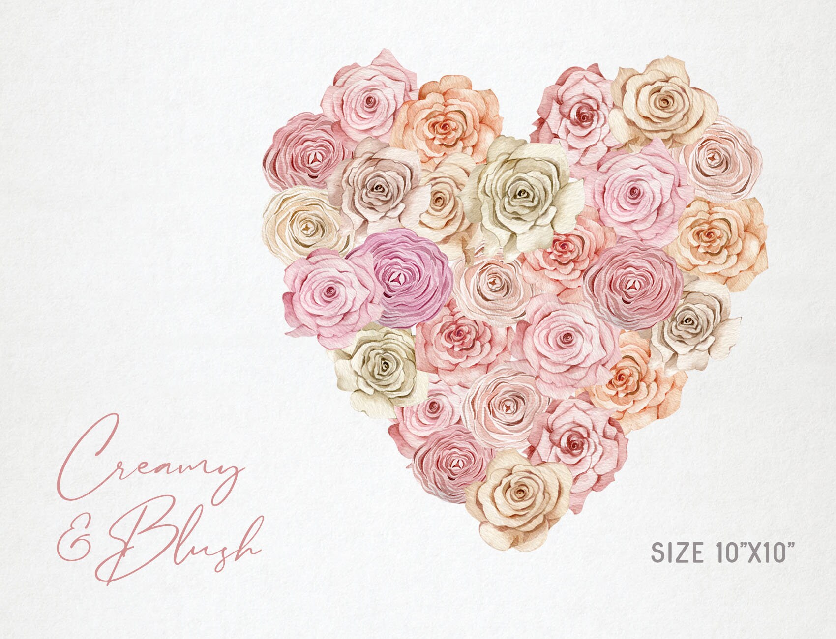 Creamy and Blush Watercolor Roses. Blush Pink Rose. Floral | Etsy