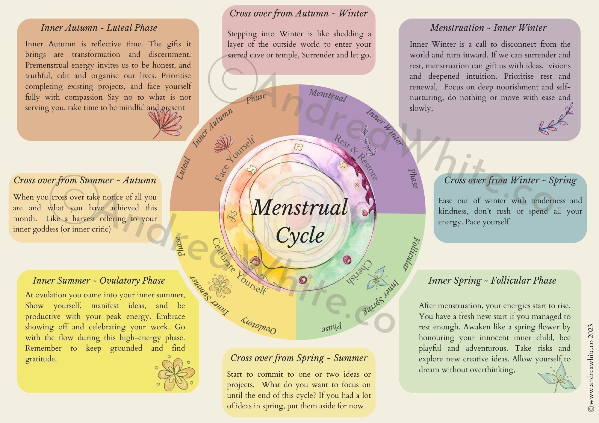 Menstrual Cycle Awareness Poster - Etsy