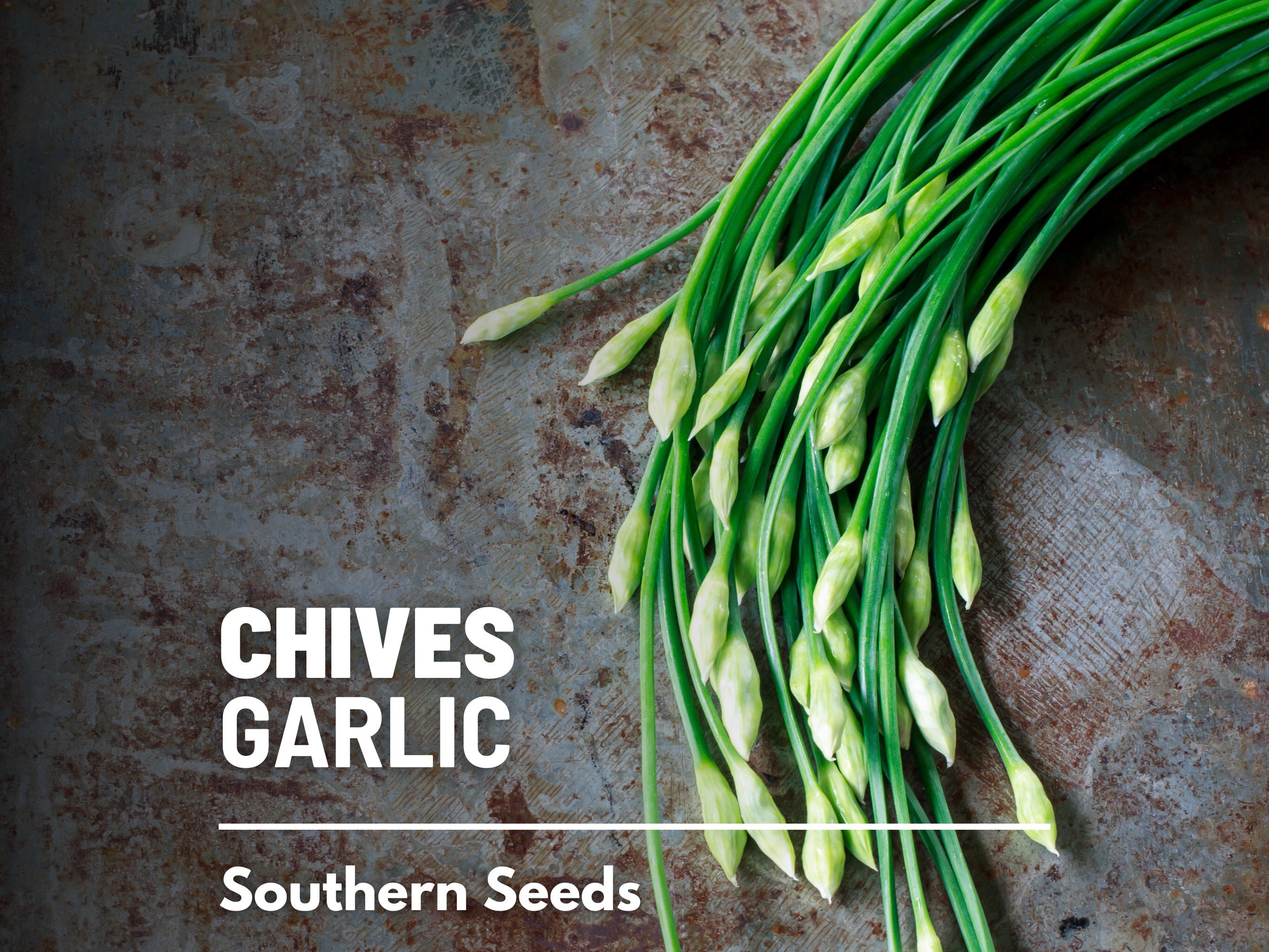What Are Garlic Chives