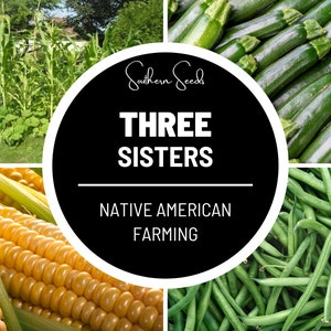 Three Sisters Seed Collection - Native American Farming - Corn, Bean ...