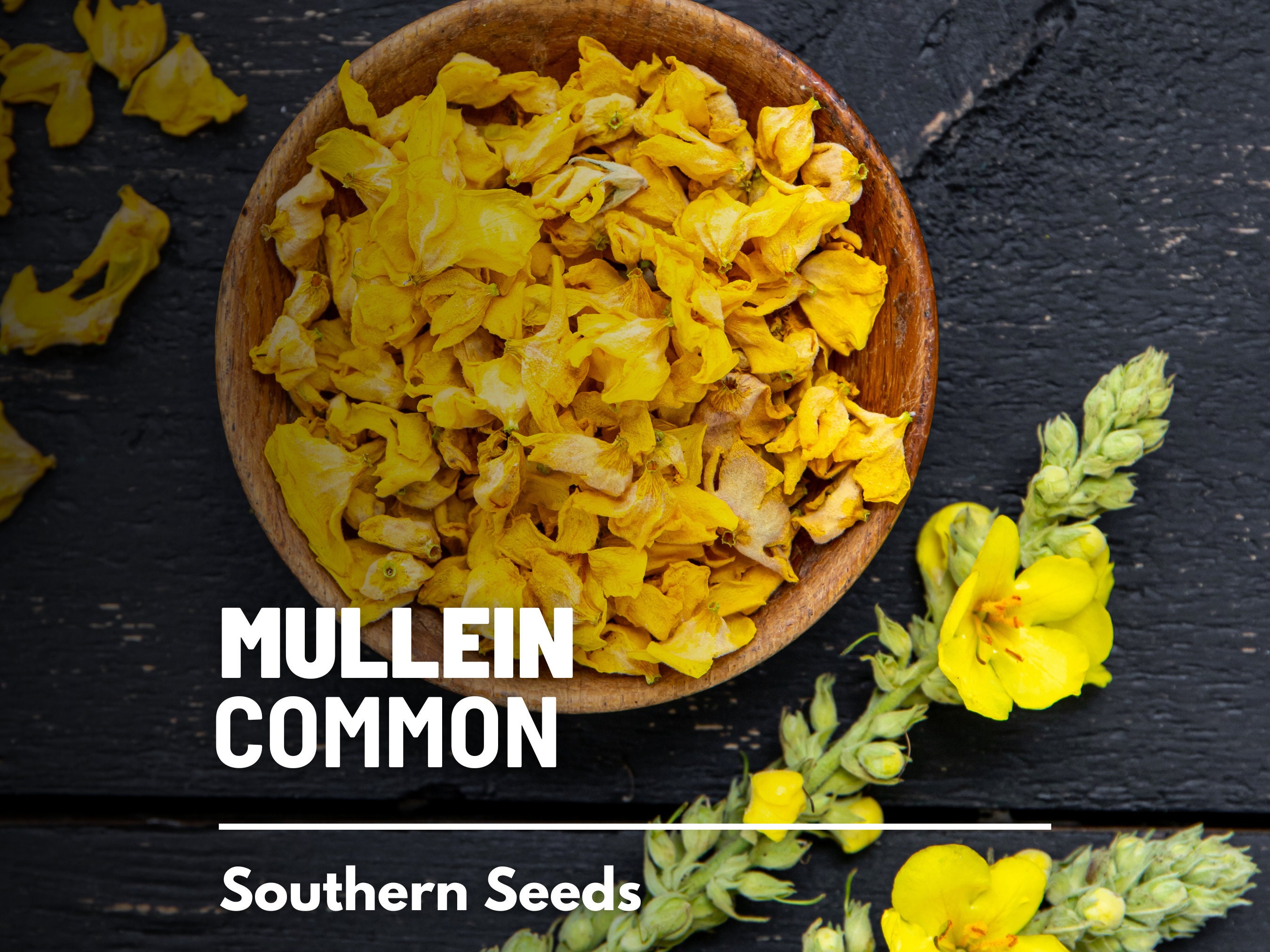 Mullein Seeds – Heirloom Herb, Verbascum Thapsus, Apothecary Garden ...