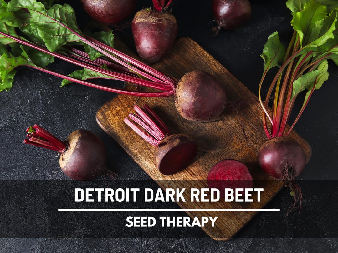 Detroit Dark Red Beet Seeds – Heirloom, Dual-purpose Roots & Greens ...
