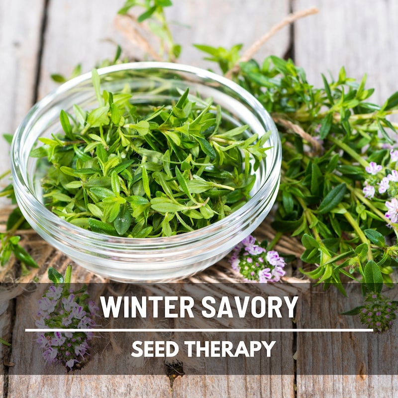 Savory - Etsy