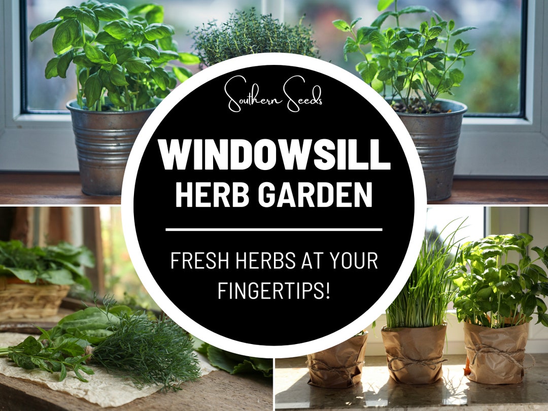 Windowsill Herb Seed Collection - 6 Culinary Herbs - Heirloom - Non-gmo ...