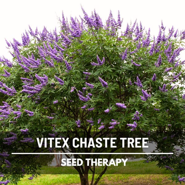 Vitex Tree - Etsy