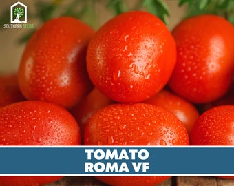 USA SELLER German Strawberry Tomato 25 Seeds HEIRLOOM Solanum - Etsy