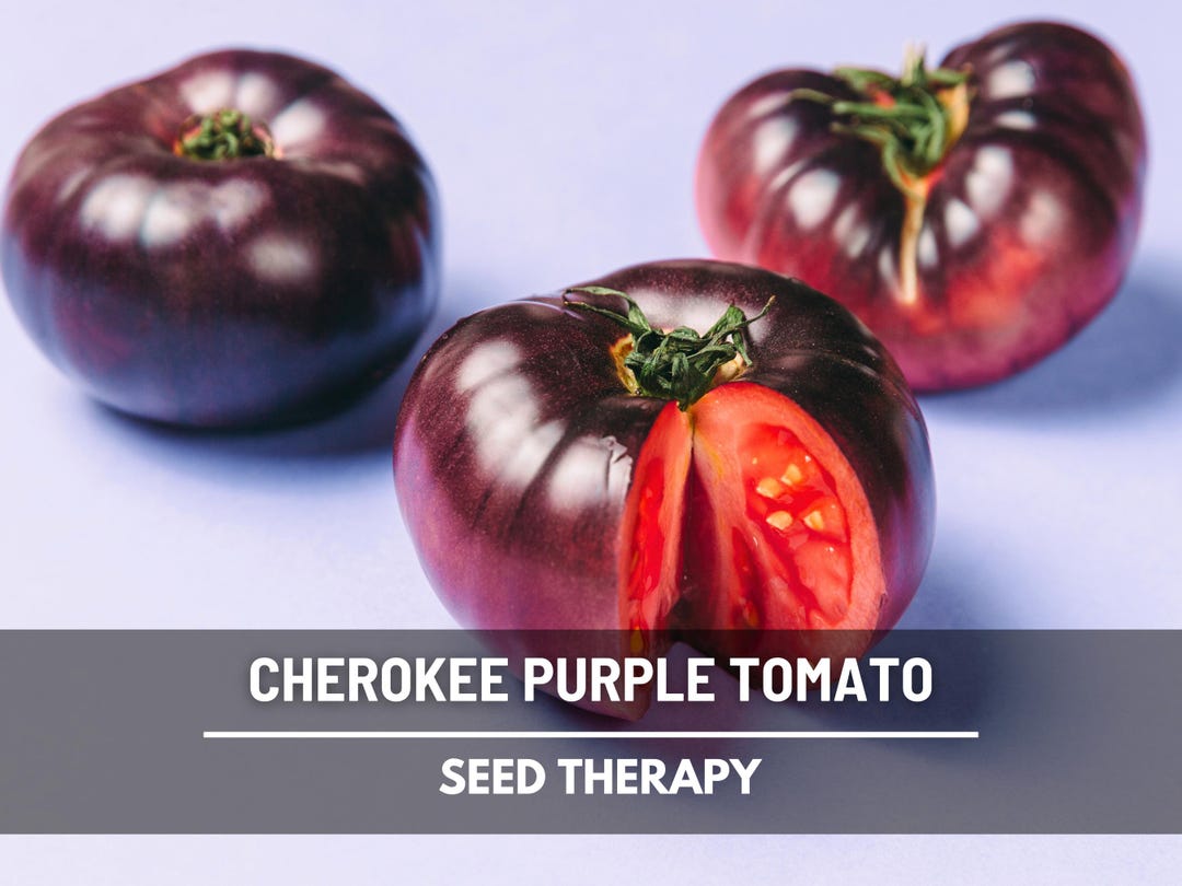 Cherokee Purple Tomato Seeds – Heirloom Vegetable, Best Tasting ...